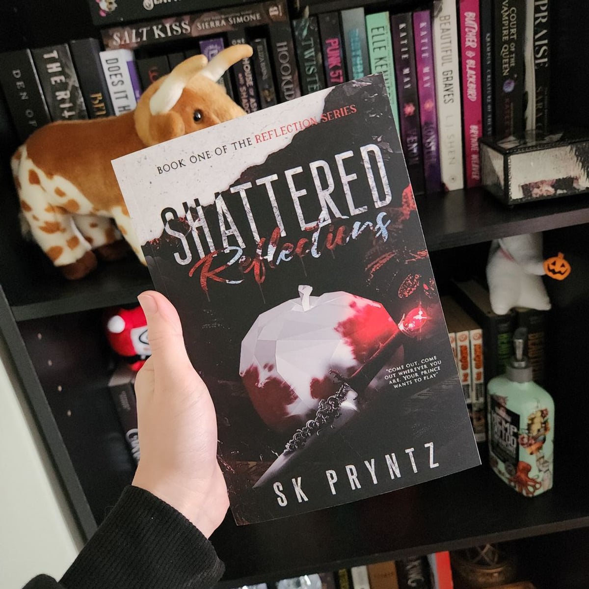 Shattered Reflections by Sk Pryntz