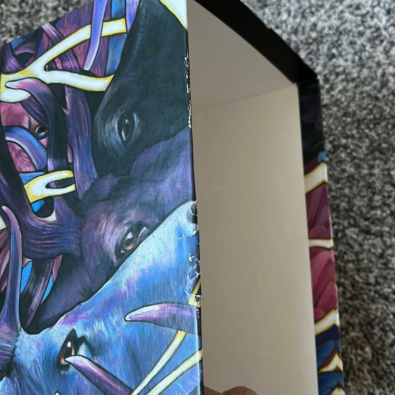 Raven Cycle Art Box by Maggie Stiefvater, Paperback | Pangobooks