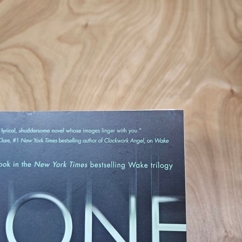 Wake Trilogy by McMann , Paperback | Pangobooks