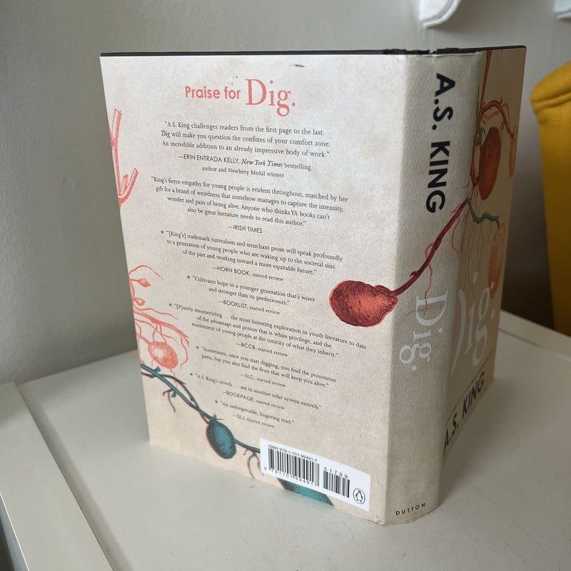 Dig by A. S. King, Hardcover | Pangobooks