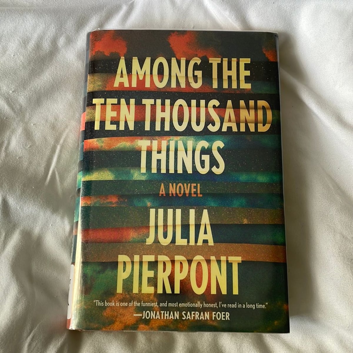 Among the Ten Thousand Things by Julia Pierpont, Hardcover | Pangobooks