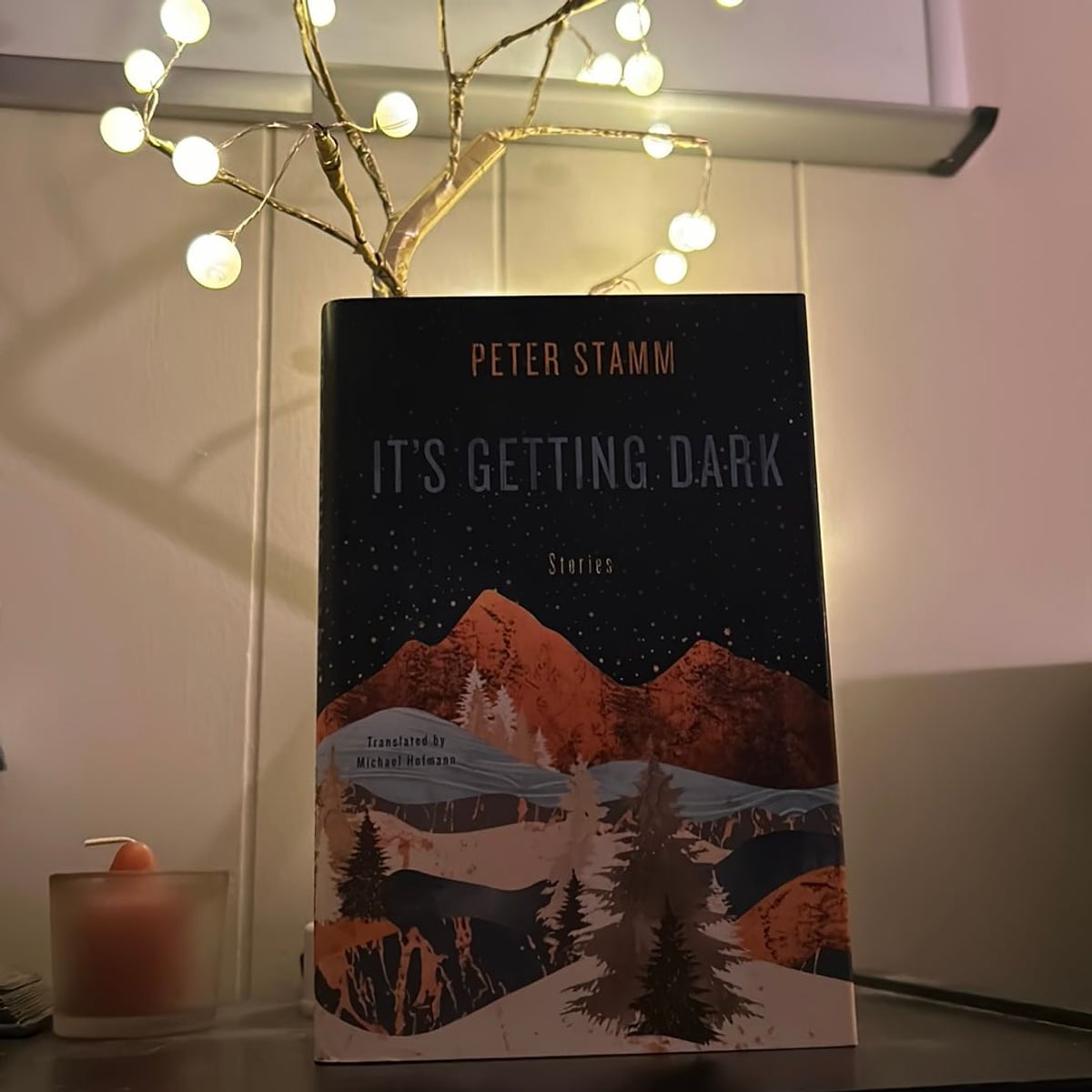It's Getting Dark by Peter Stamm, Hardcover | Pangobooks