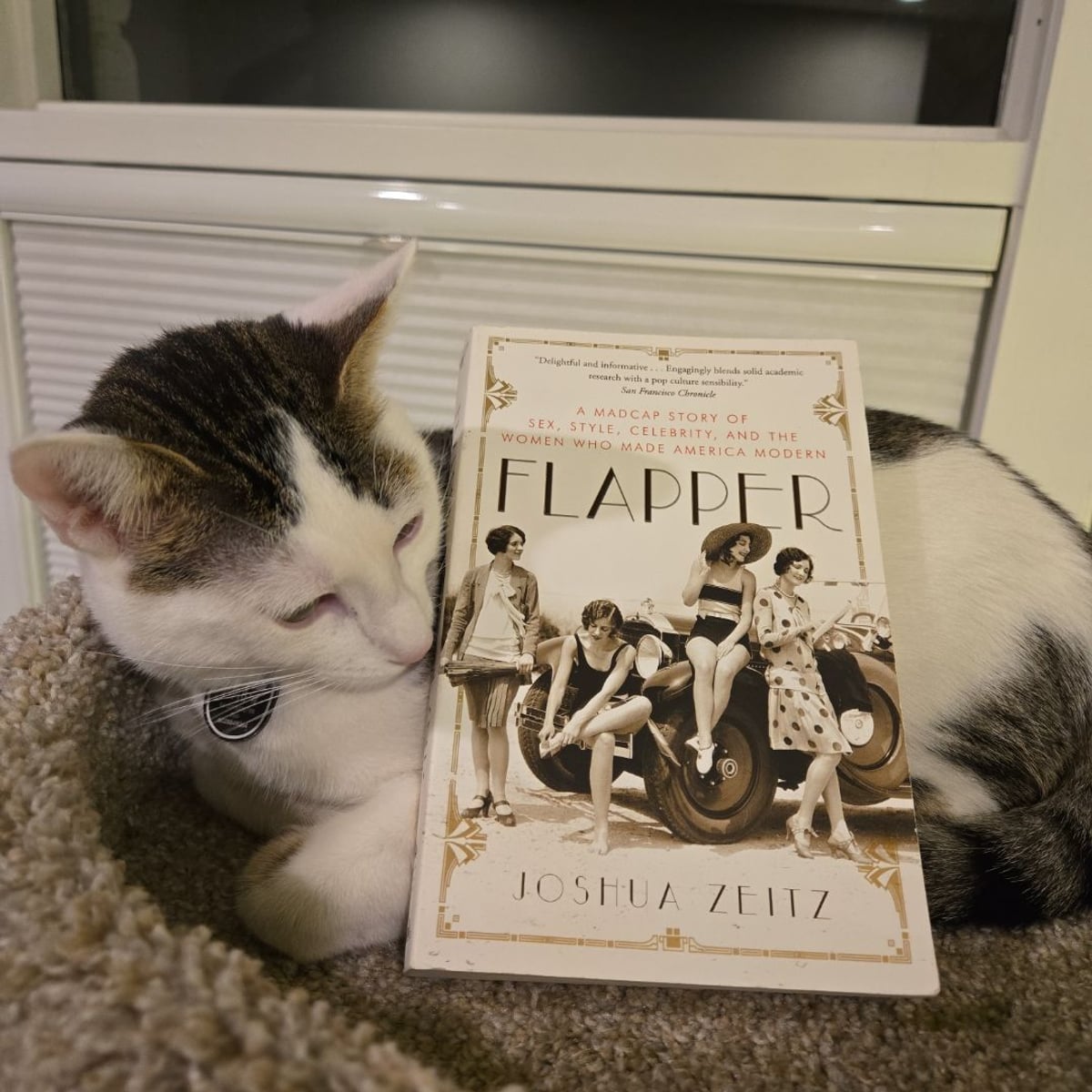 Flapper by Joshua Zeitz, Paperback | Pangobooks