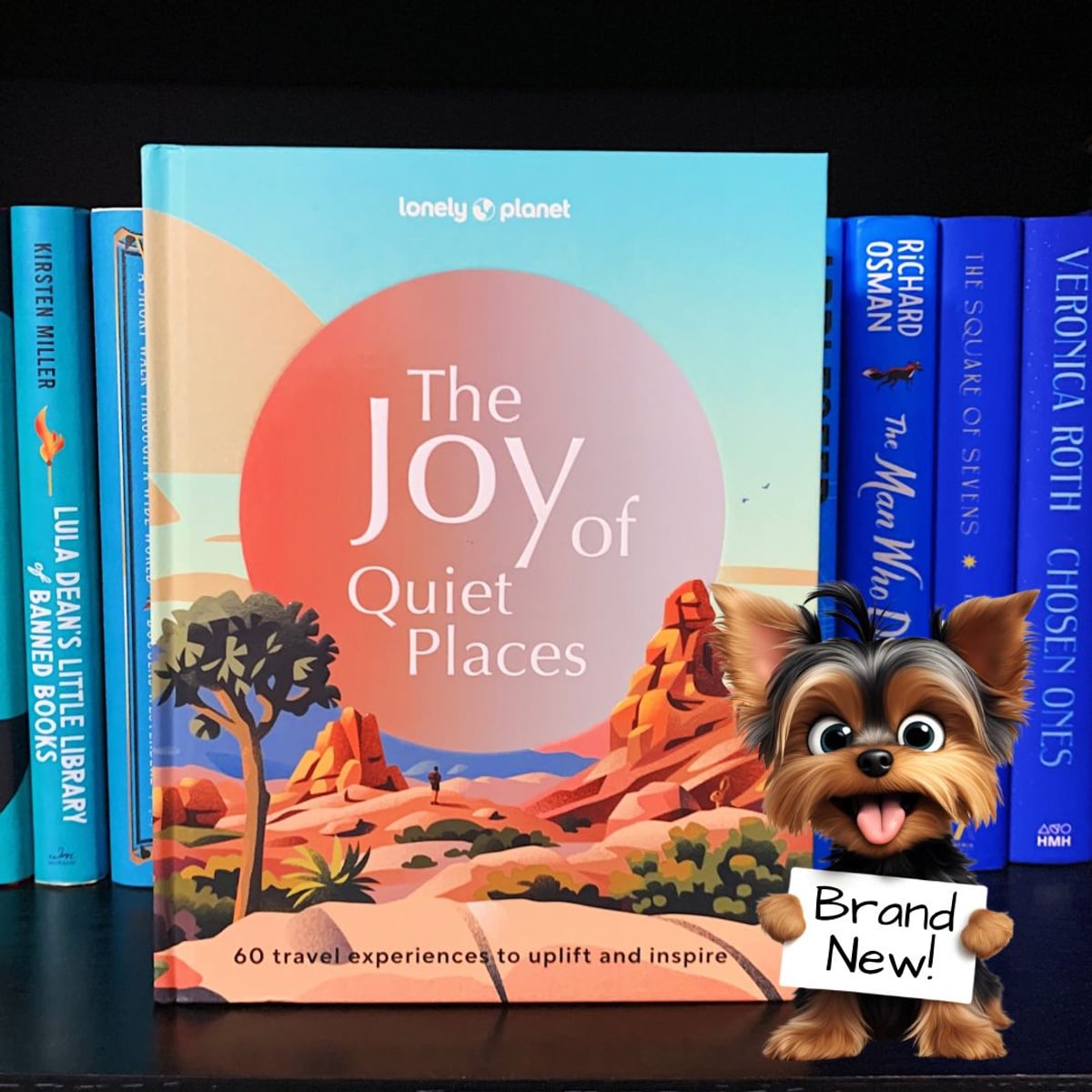 Lonely Planet the Joy of Quiet Places by Lonely Planet