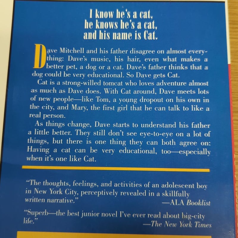 It's Like This, Cat by Emily Cheney Neville , Paperback | Pangobooks