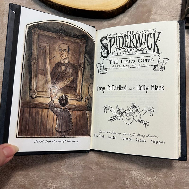 The Spiderwick Chronicles First Edition Hardcovers 1990 Volumes 1-5 by ...