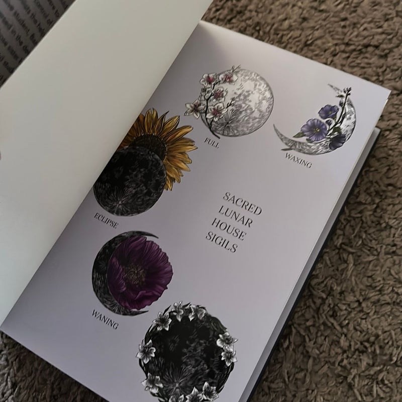 Curious Tides *SPECIAL PURPLE EDITION* by Pascale Lacelle, Hardcover ...
