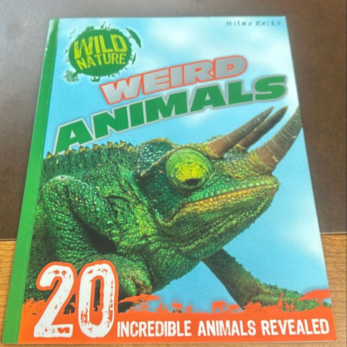 Weird Animals by Belinda Gallagher, Miles Kelly