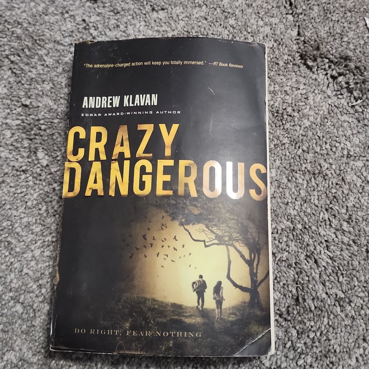 Crazy Dangerous by Andrew Klavan