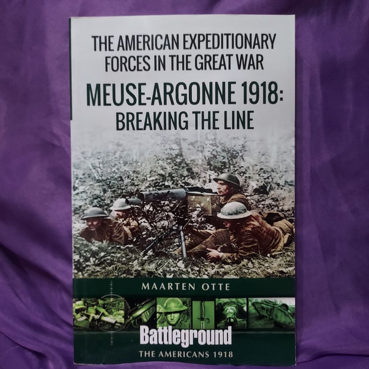American Expeditionary Forces in the Great War by Maarten Otte