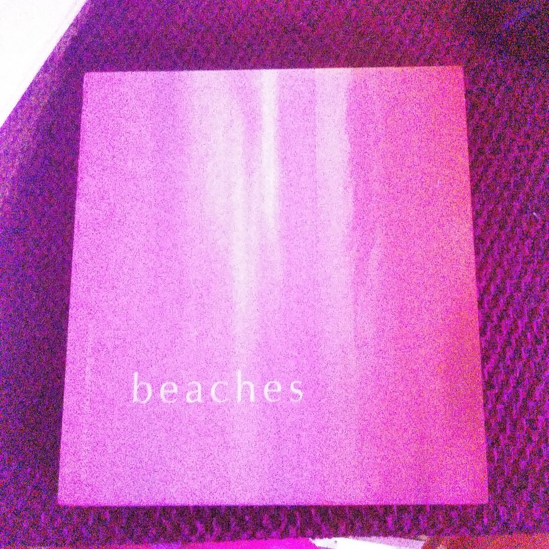 Beaches by Gideon Bosker, Lena Lencek