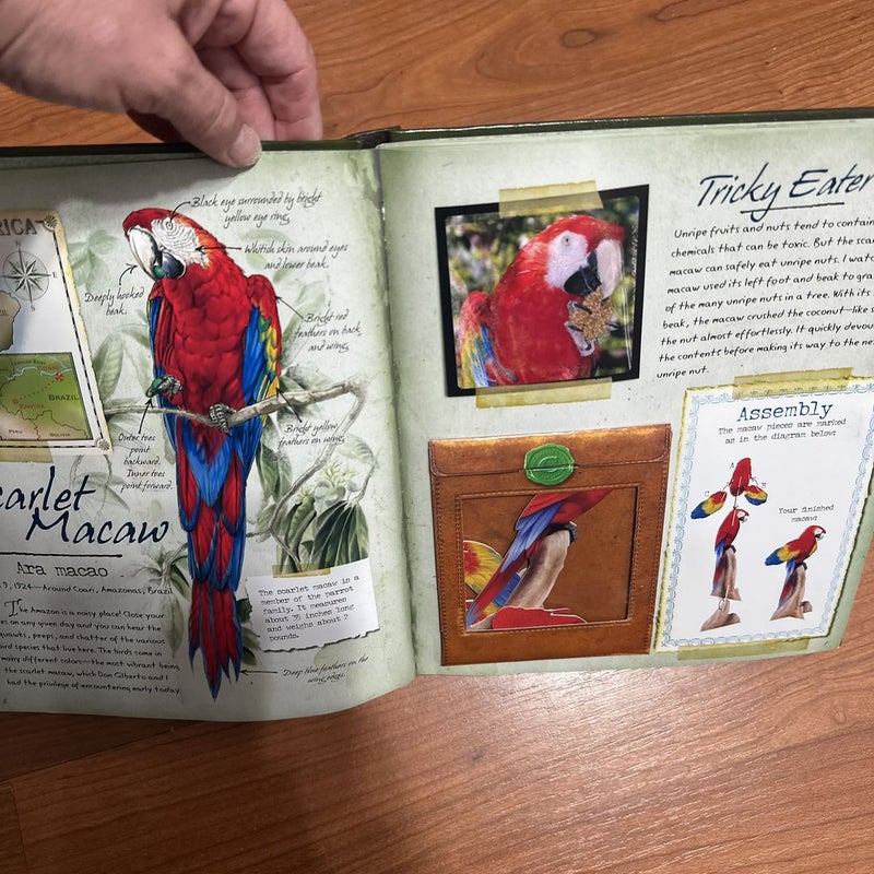 Guide to Rain Forest Animals by Nancy Honovich