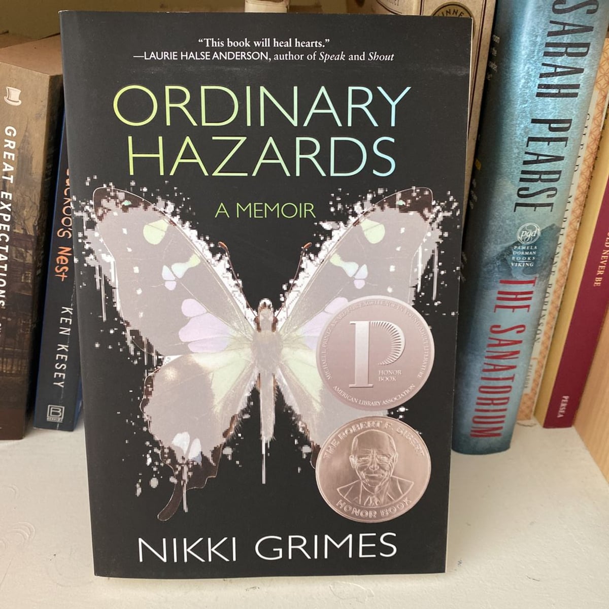 Ordinary Hazards
