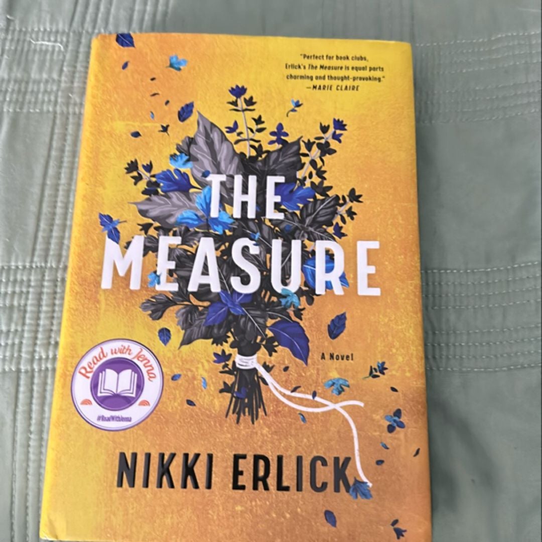 The Measure by Nikki Erlick