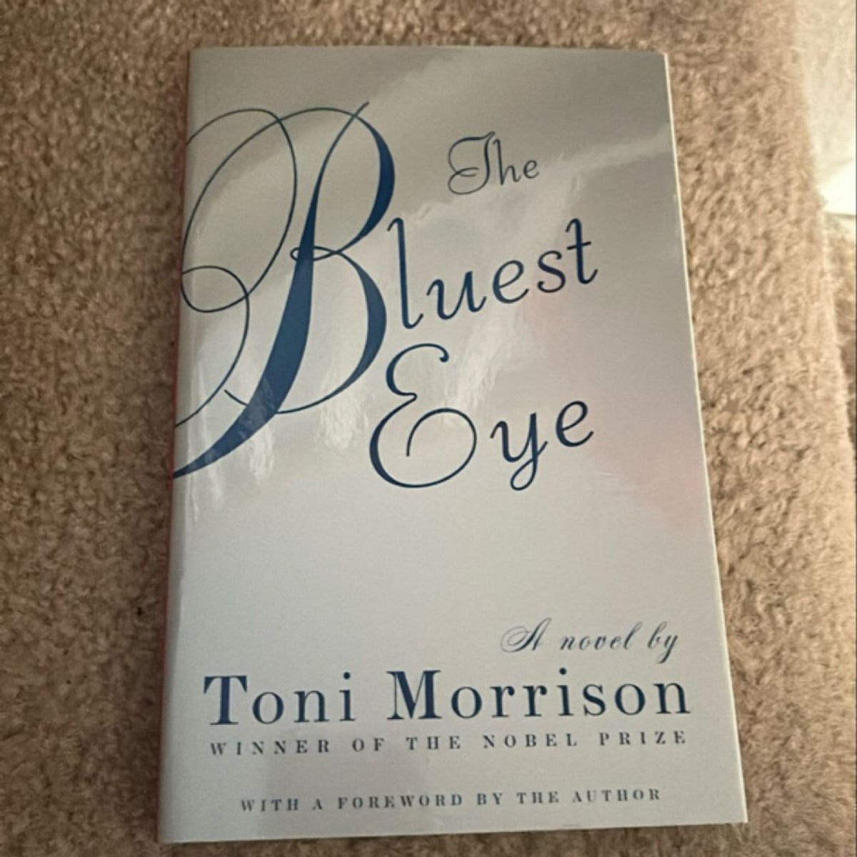 The Bluest Eye by Toni Morrison, Paperback | Pangobooks