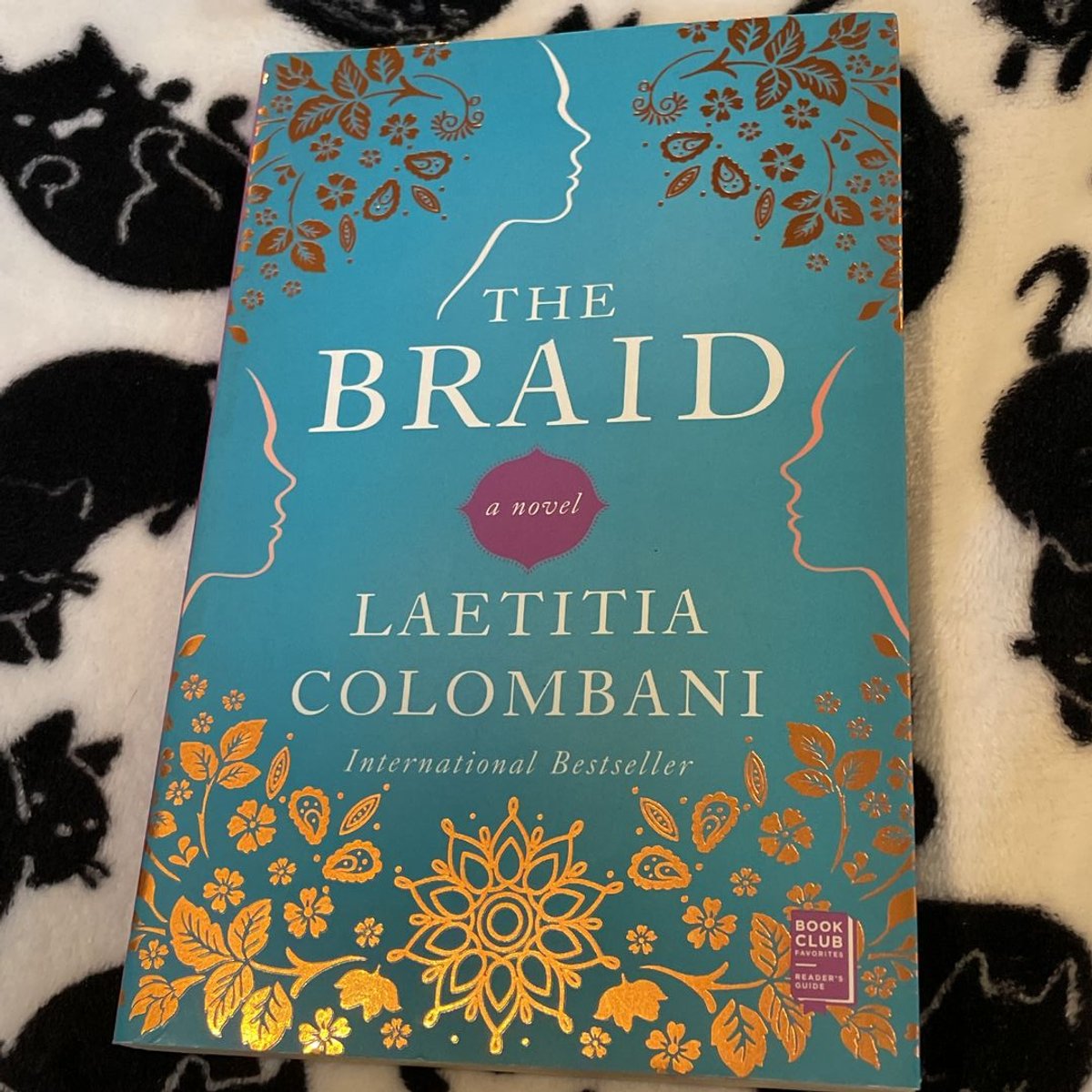 The Braid by Laetitia Colombani