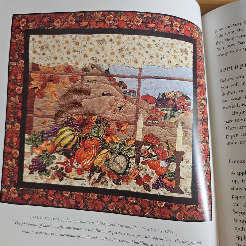 Fabric Collage Quilts by Joanne Goldstein