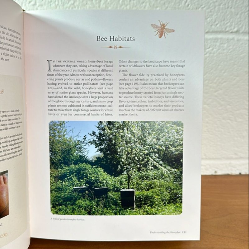 The Beekeeper's Bible by Richard Jones, Sharon Sweeney-Lynch