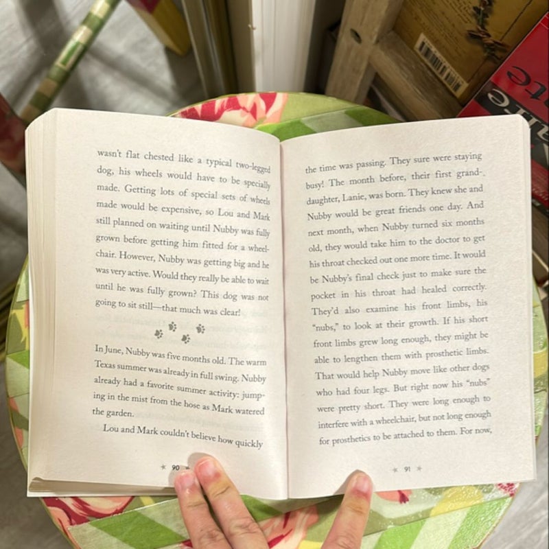 Nubby's Story (the Dodo) by Aubre Andrus