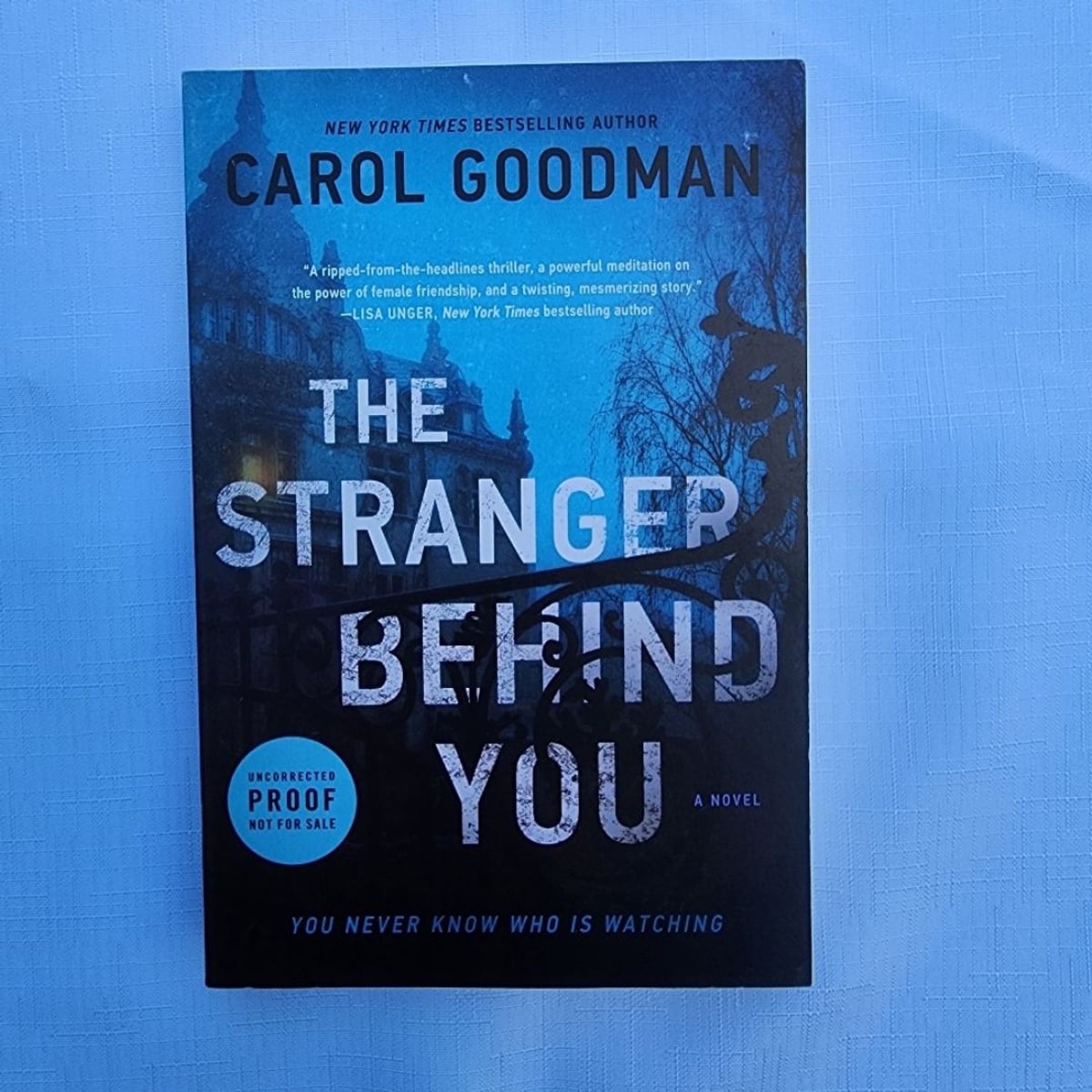 The Stranger Behind You by Carol Goodman, Paperback | Pangobooks