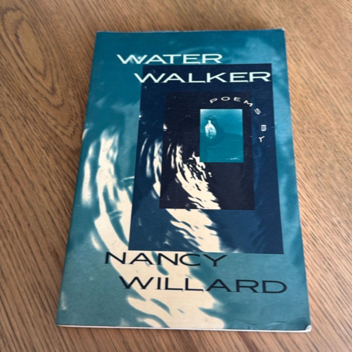 Water Walker by Nancy Willard
