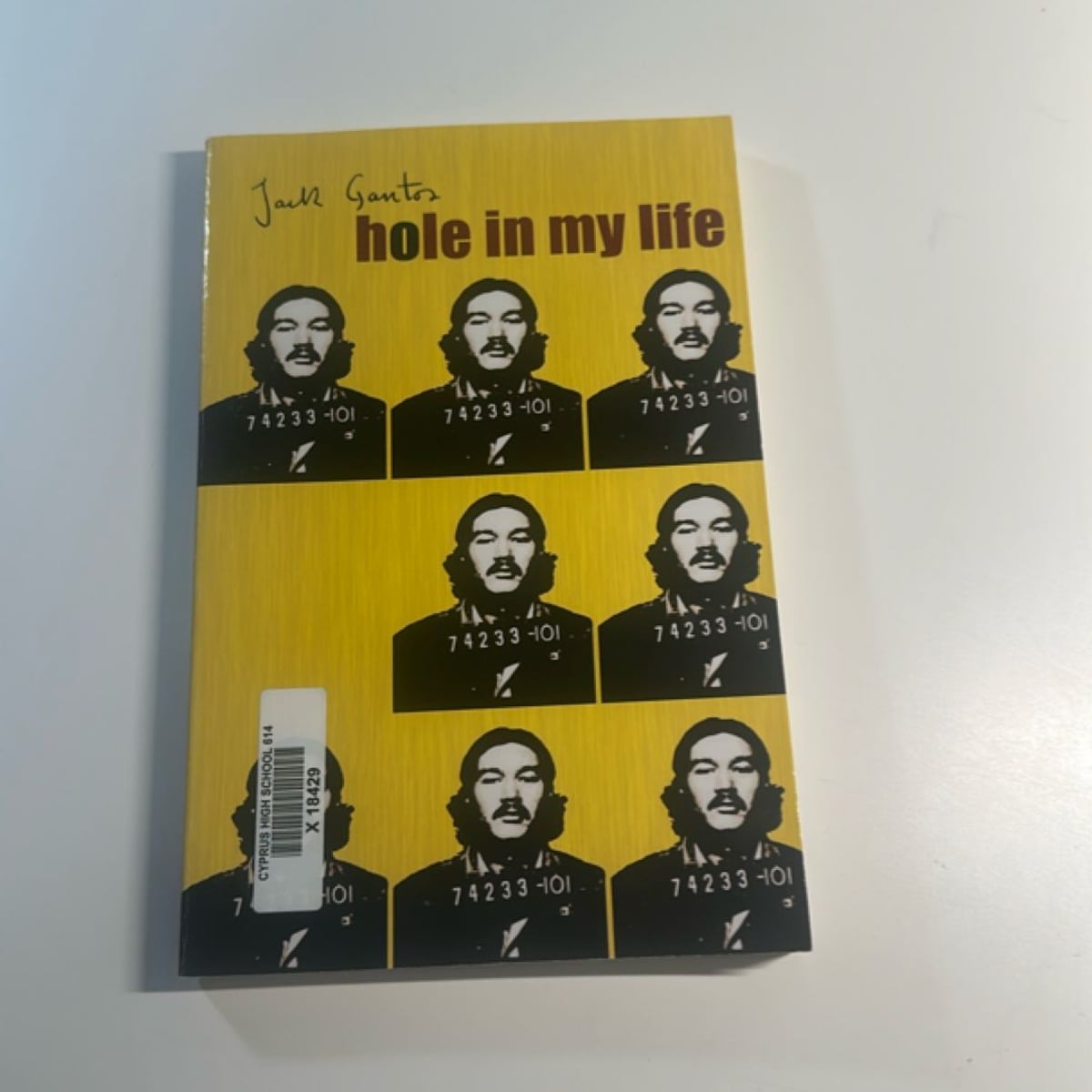 Hole in My Life by Jack Gantos