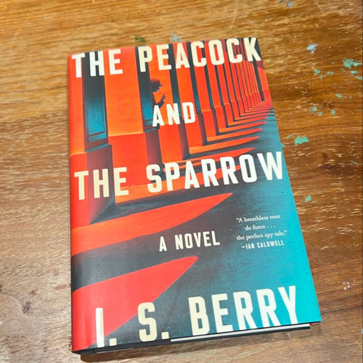 The Peacock and the Sparrow by I. S. Berry