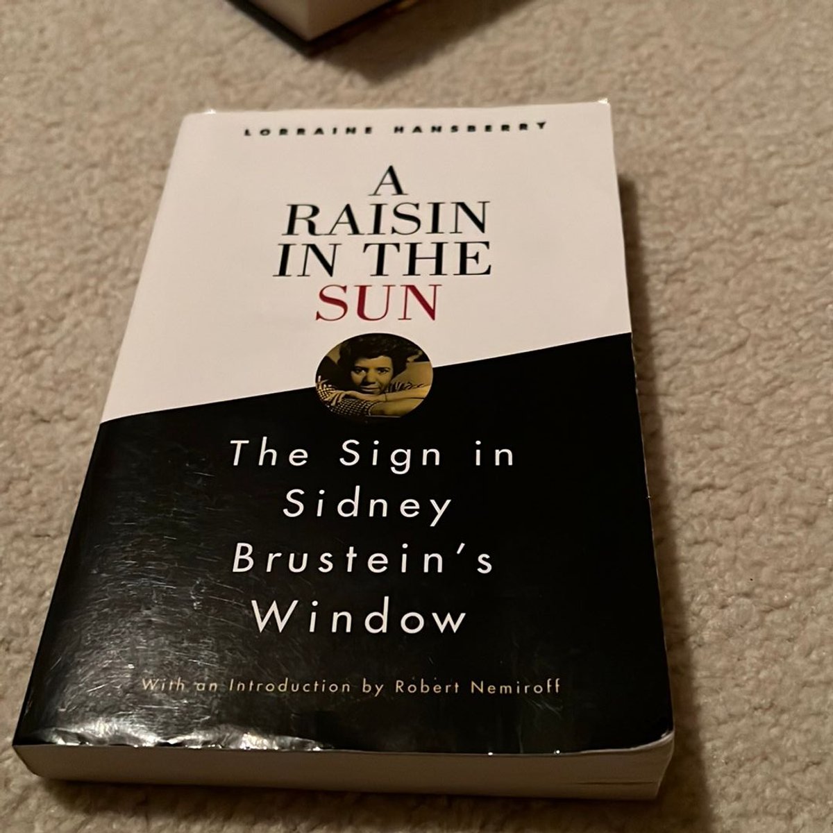A Raisin in the Sun and the Sign in Sidney Brustein's Window by ...