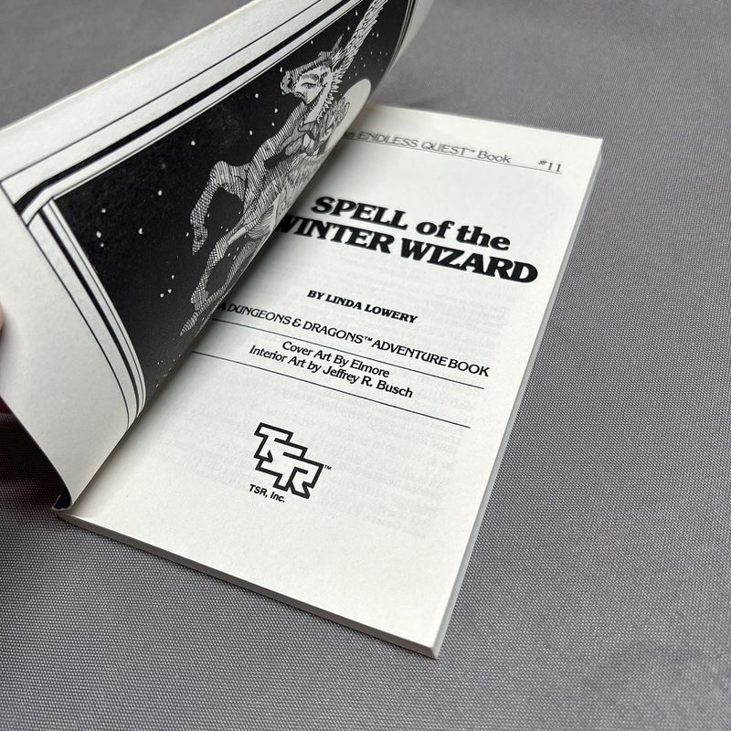 Spell of the Winter Wizard by Linda Lowery, Paperback | Pangobooks