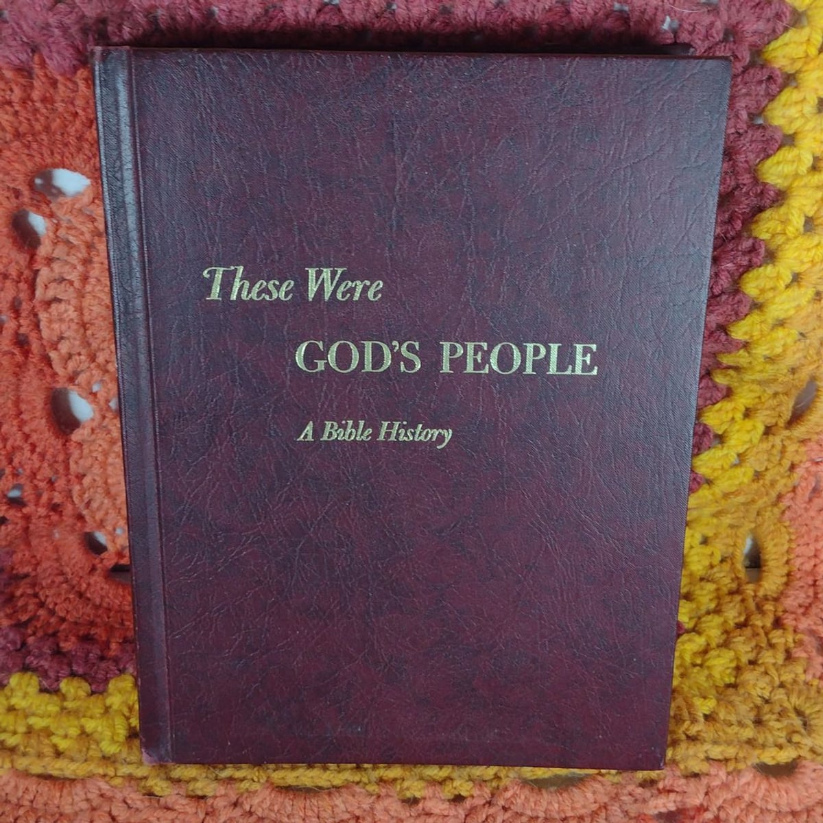These Were GOD'S PEOPLE A Bible History by William C. Martin ...