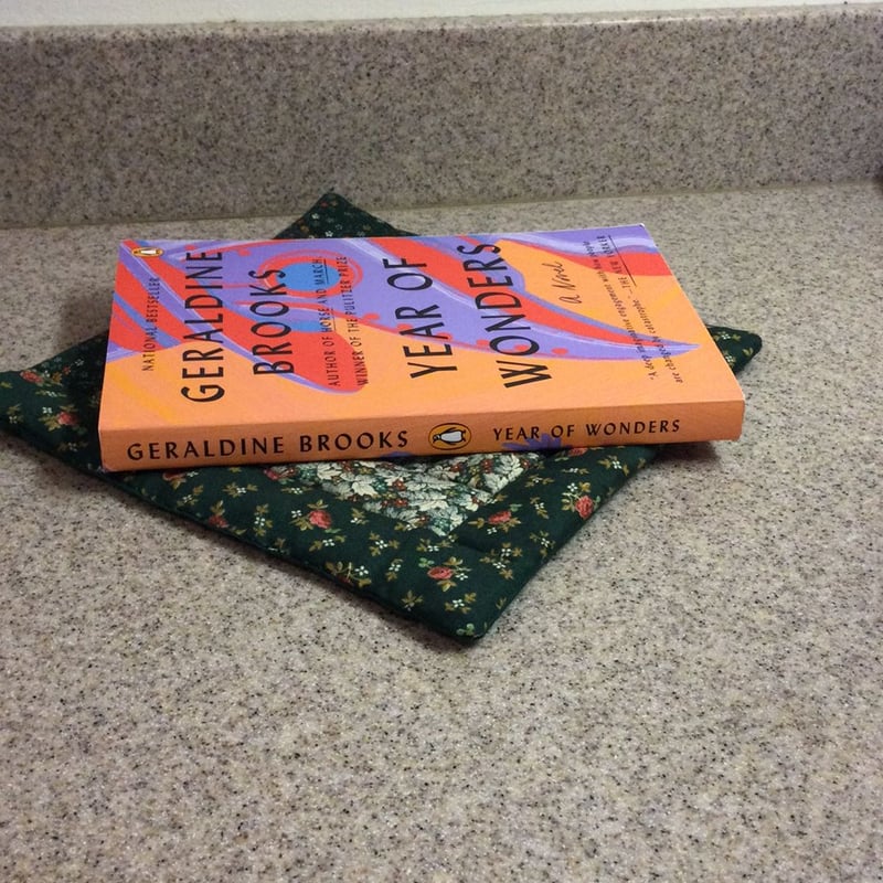 Year of Wonders by Geraldine Brooks, Paperback | Pangobooks