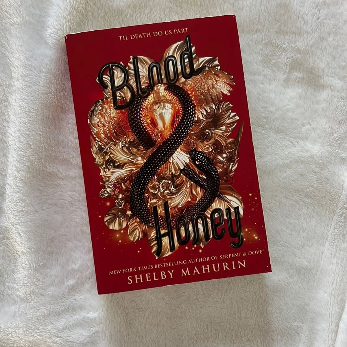 Blood and Honey by Shelby Mahurin, Paperback | Pangobooks
