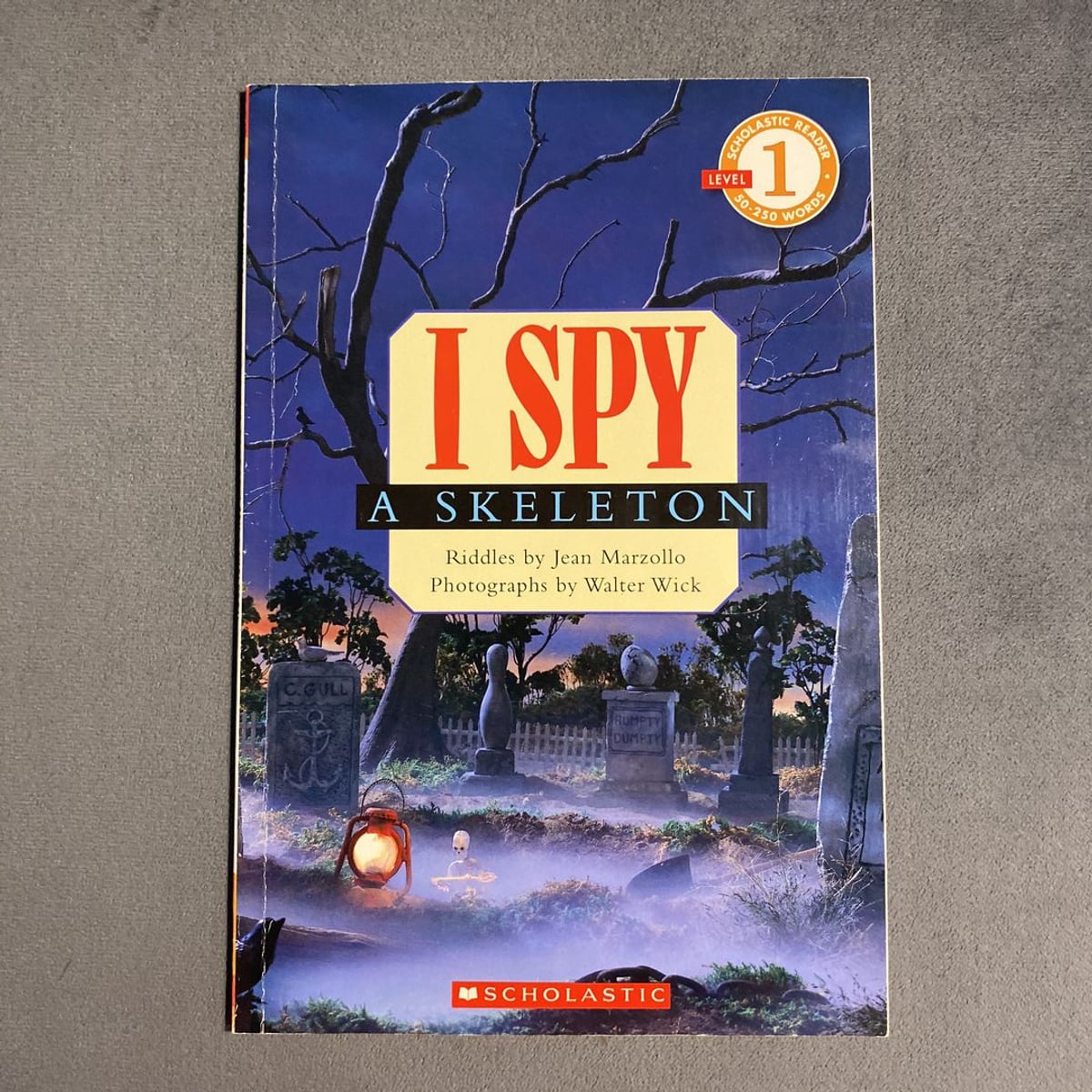 I Spy a Skeleton by Jean Marzollo, Paperback | Pangobooks