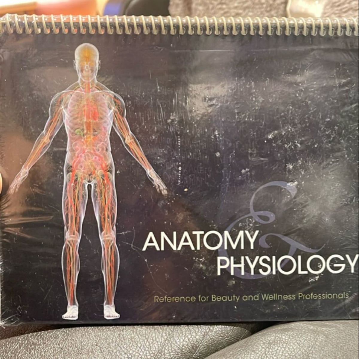 Student Reference for Anatomy and Physiology, Spiral Bound Version by ...