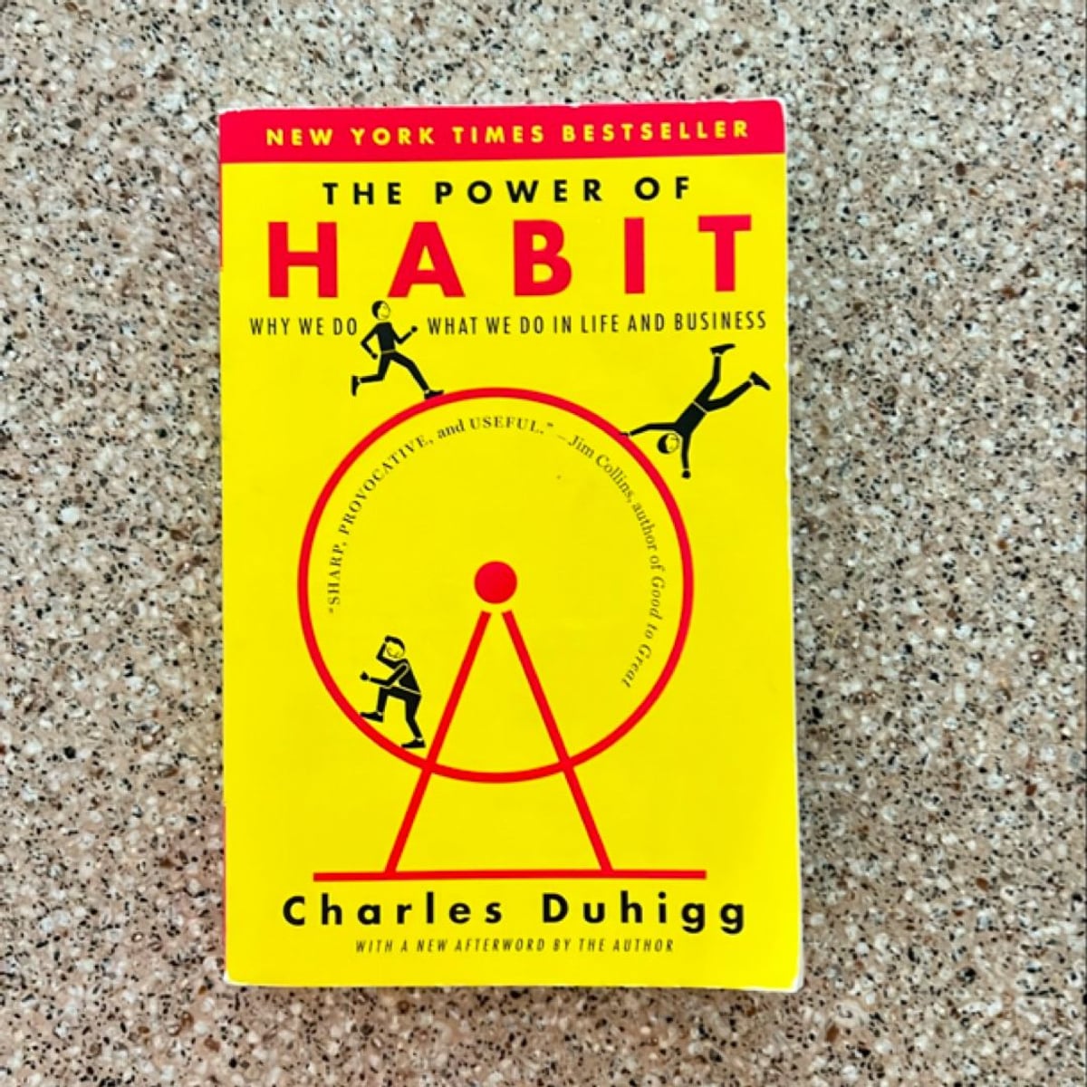 The Power of Habit by Charles Duhigg, Paperback | Pangobooks