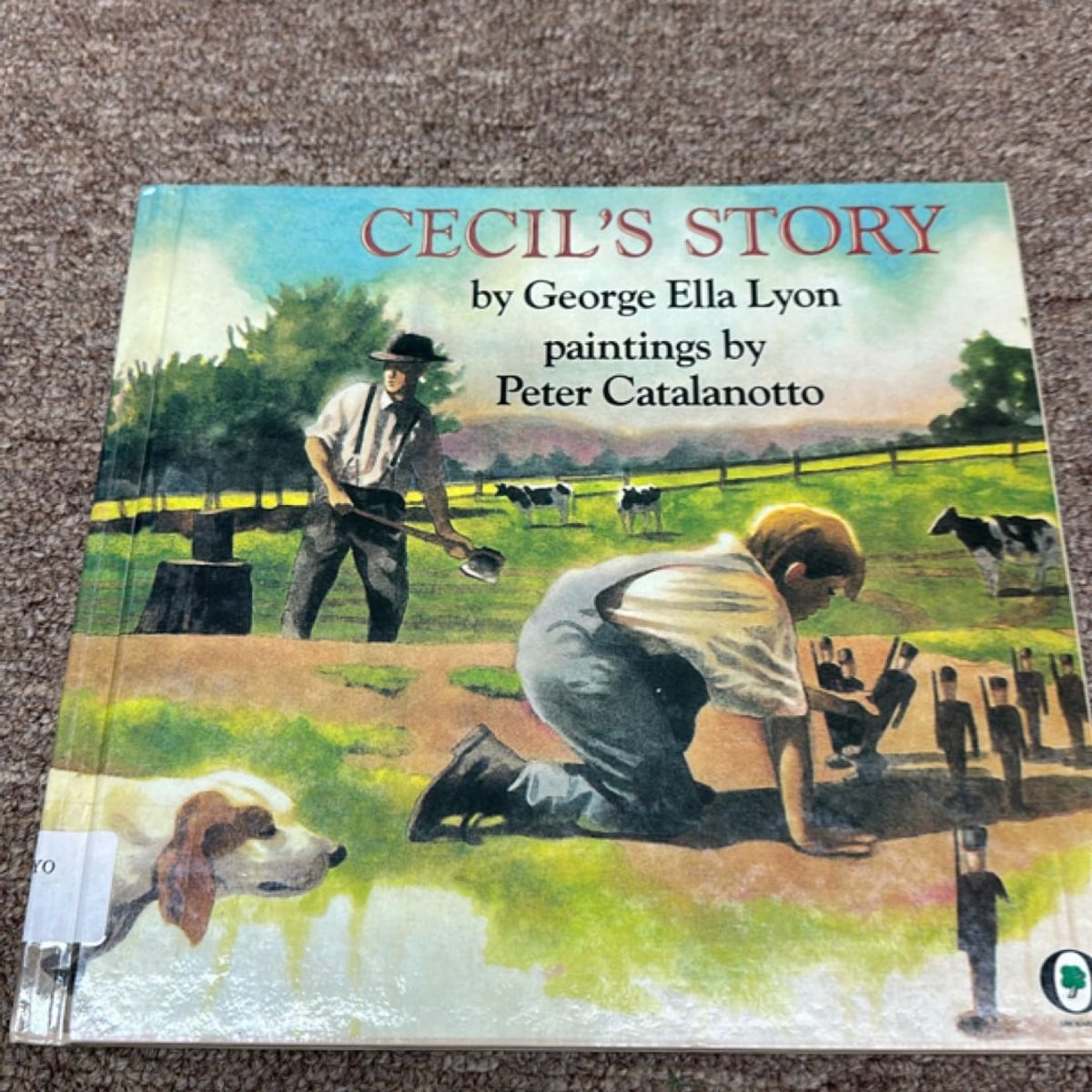 Cecil's Story by George Ella Lyon