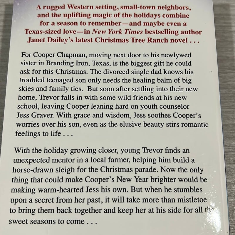 Country Christmas Bundle 🎄 Janet Dailey by Janet Dailey, Paperback ...