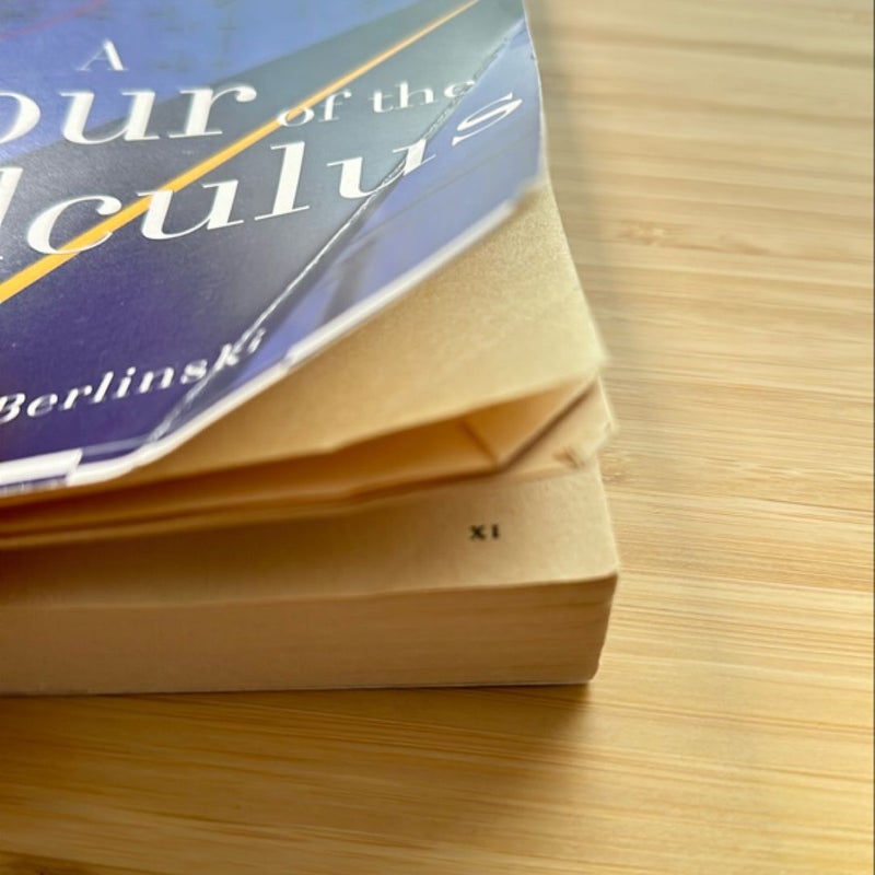 A Tour of the Calculus by David Berlinski