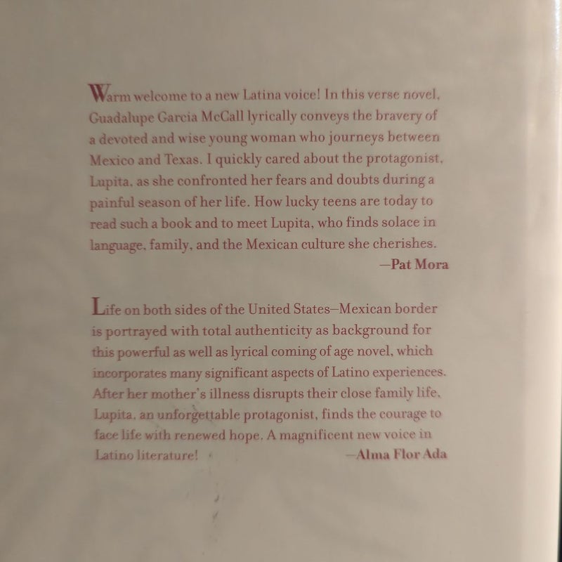 Under the Mesquite by Guadalupe Garcia McCall