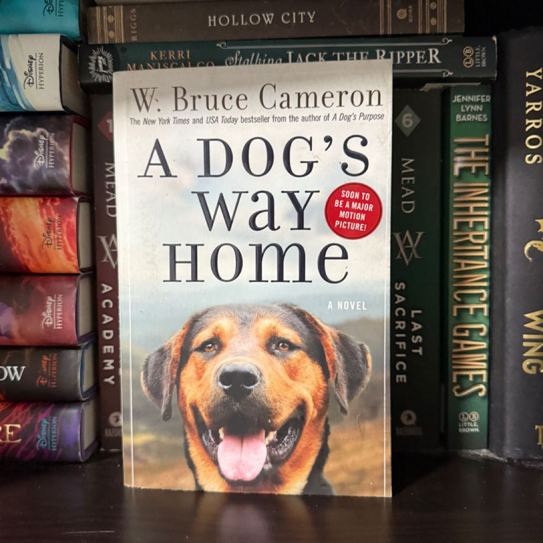 A Dog's Way Home by W. Bruce Cameron, Paperback | Pangobooks