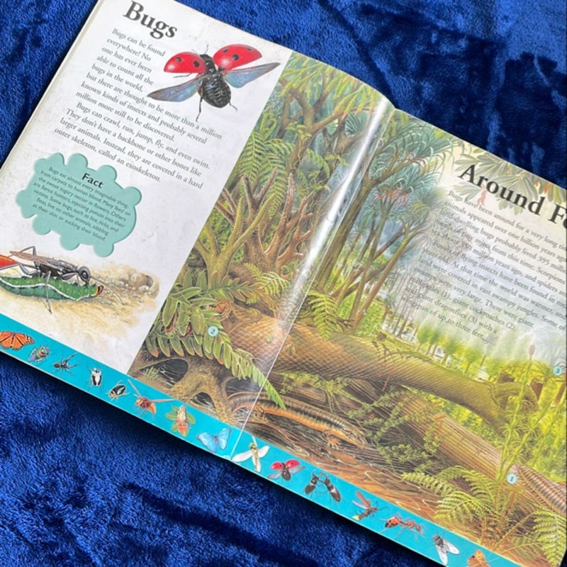 Bug Dictionary by Jill Bailey, Mike Atkinson