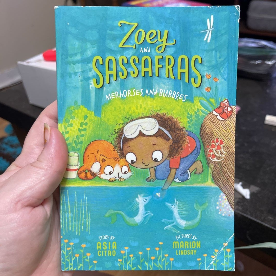 Merhorses and Bubbles by Asia Citro, Paperback | Pangobooks