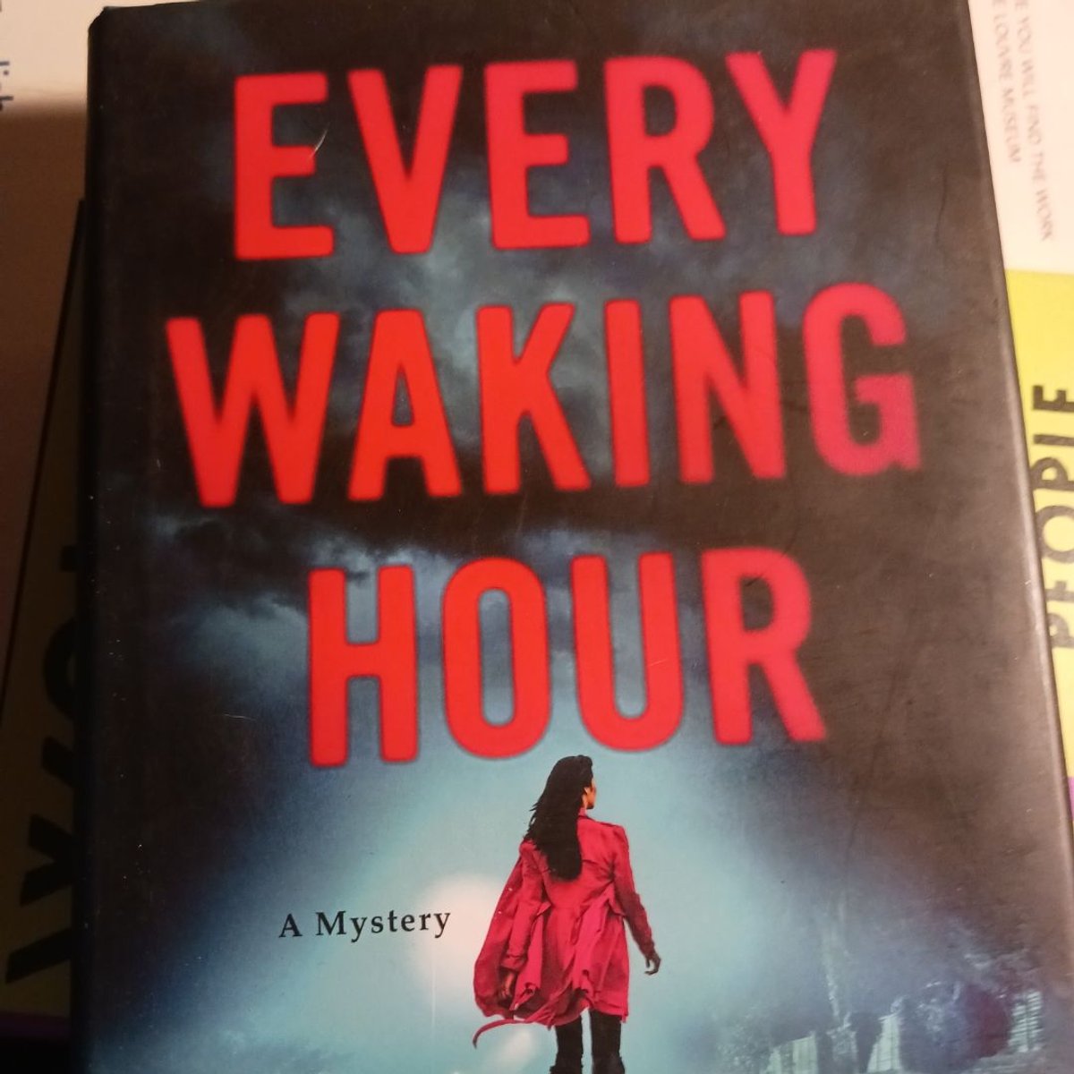 Every Waking Hour by Joanna Schaffhausen