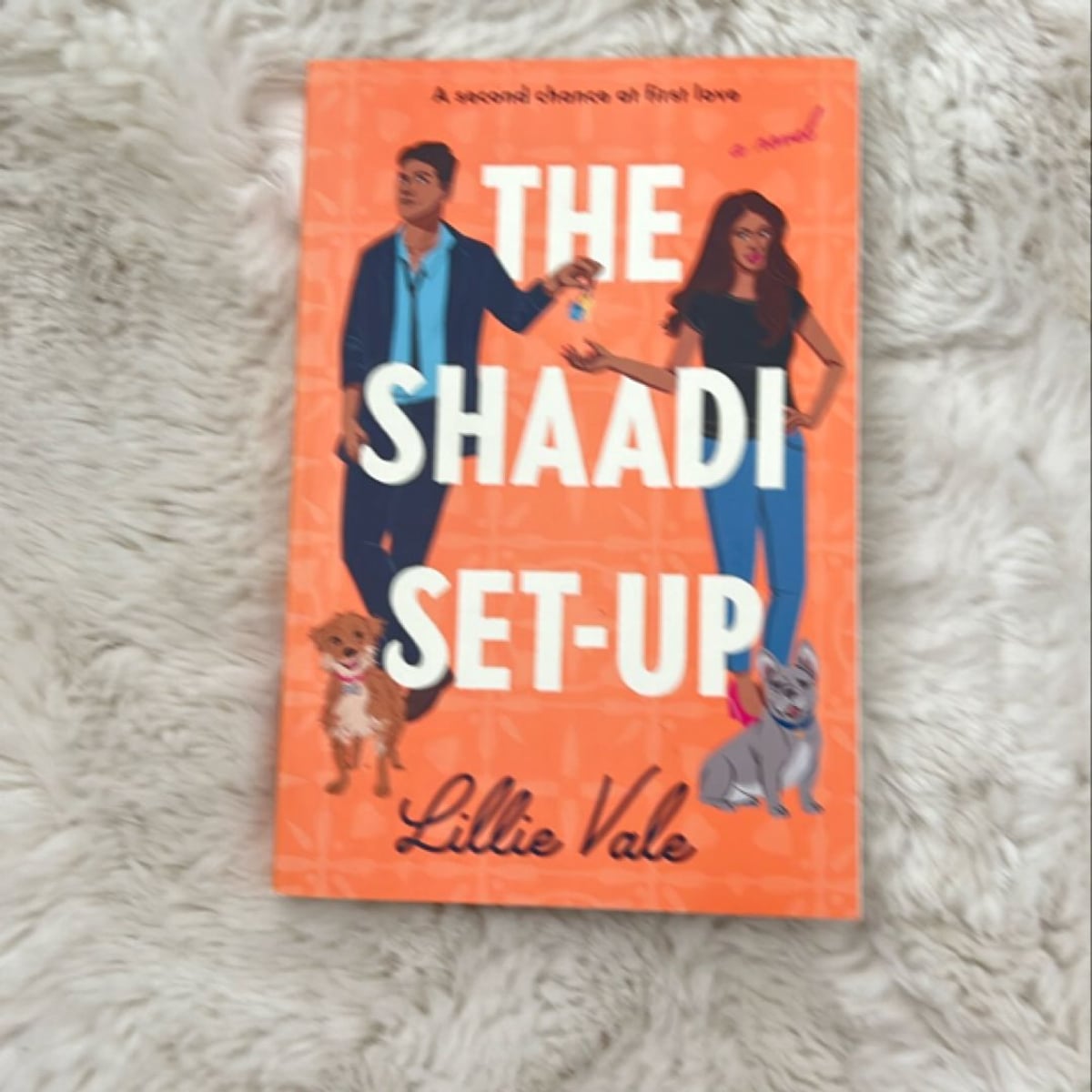 The Shaadi Set-Up by Lillie Vale, Paperback | Pangobooks