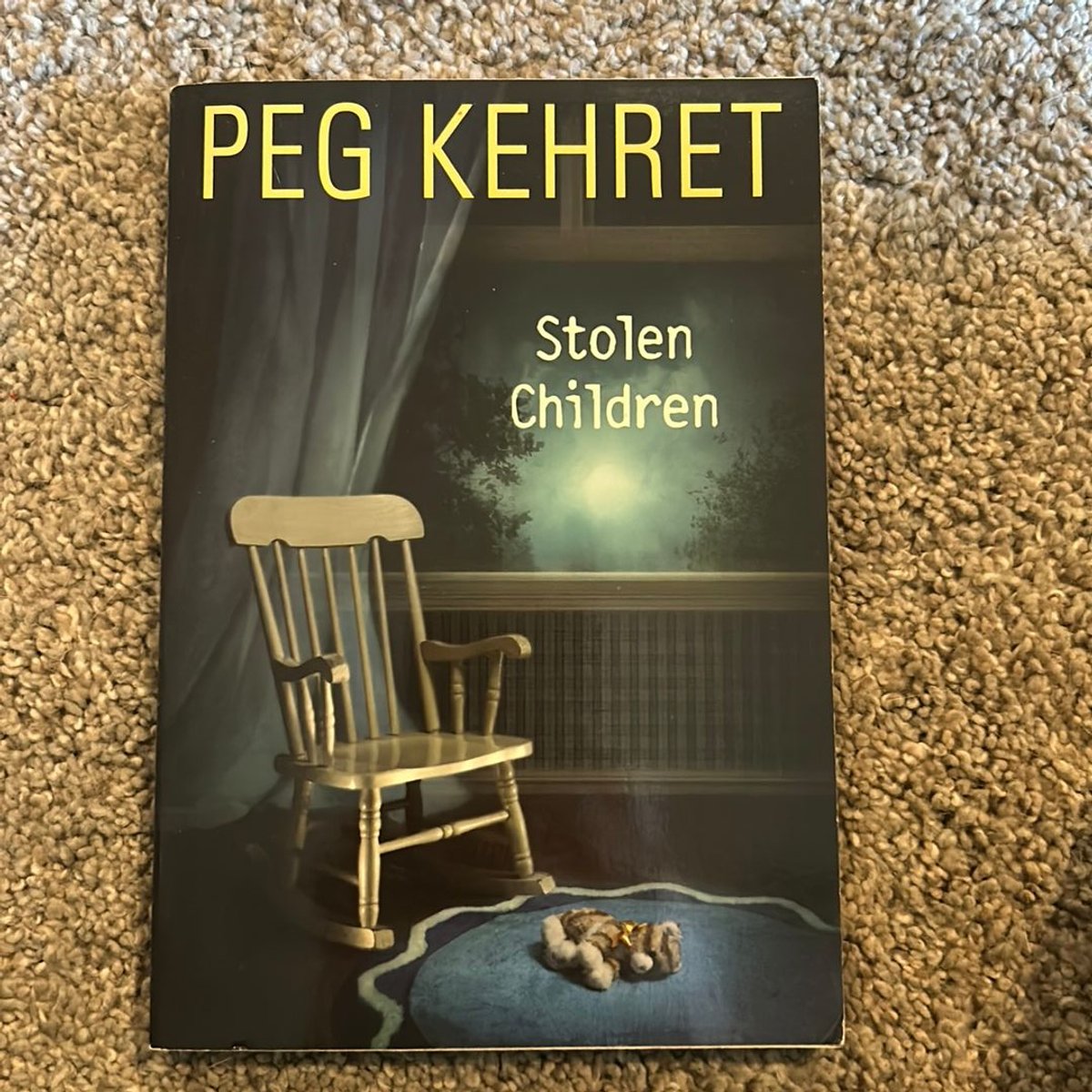 Stolen Children by Peg Kehret