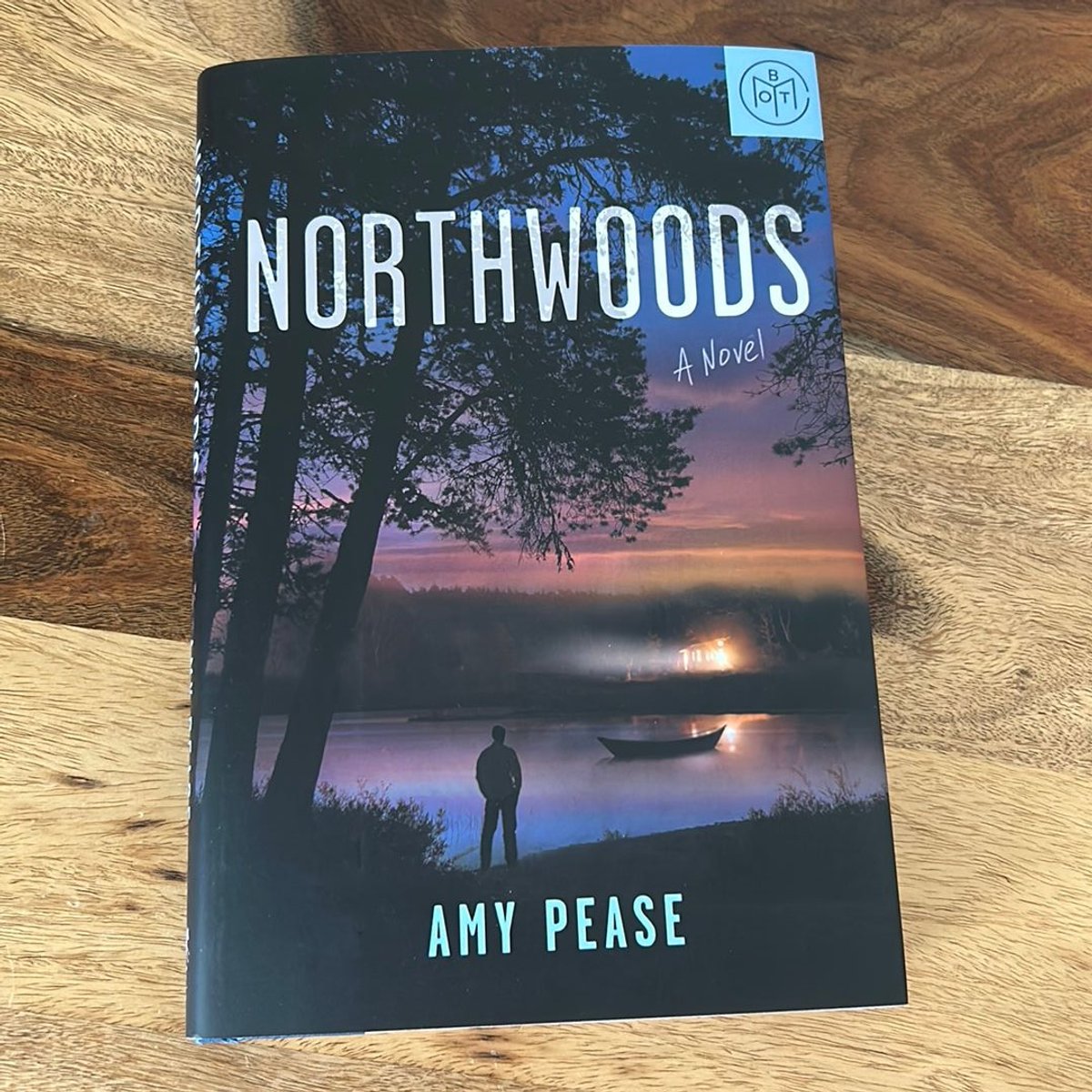 Northwoods by Amy Pease