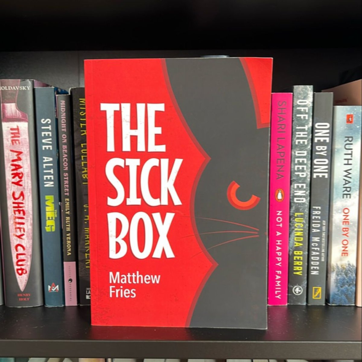 The Sick Box by Matthew Fries