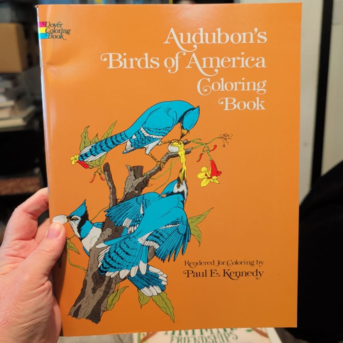 Audubon's Birds of America Coloring Book by John James Audubon
