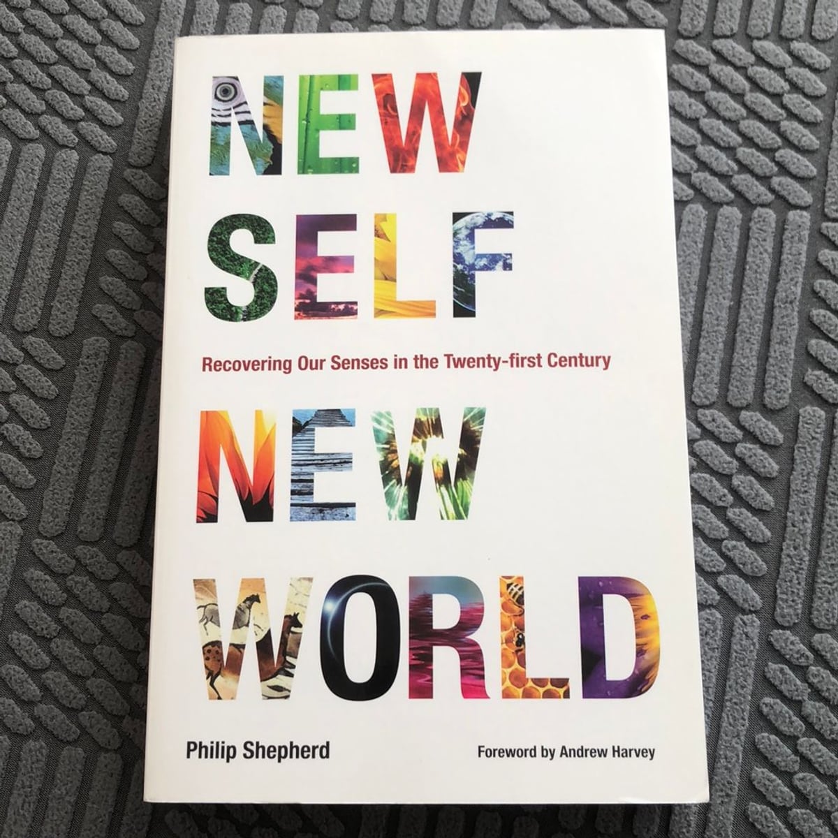 New Self, New World by Philip Shepherd, Andrew Harvey