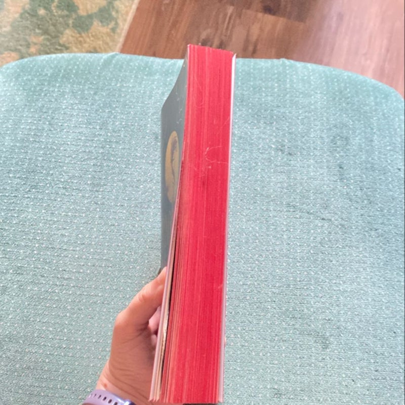 Dragonfall by L.R Lam, Paperback | Pangobooks